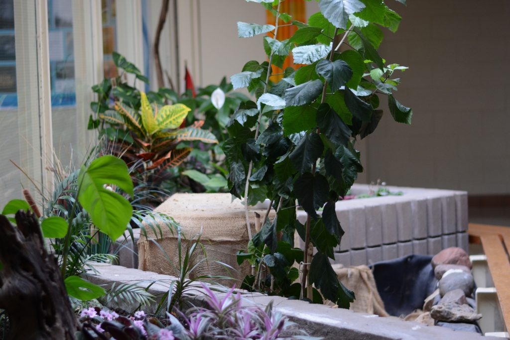 Killarney-Shebanoning Outdoor Environmental Education Centre - Holy ...